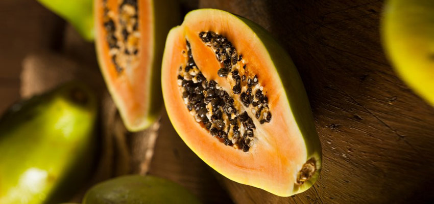 Genetically modified papaya in fruit mix - AGROLAB GROUP